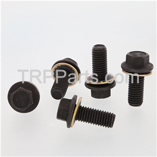 SCREW,CAPTIVE WASHER CAP